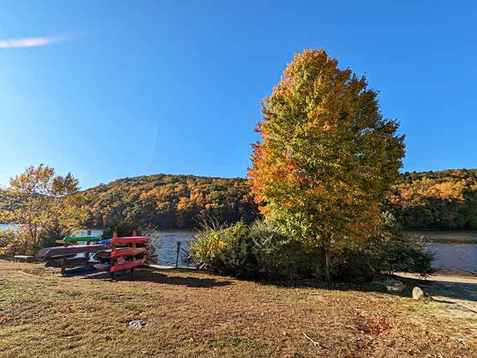 Kayaks rest by the shore, ready to transform you into a water explorer without requiring a captain's license.