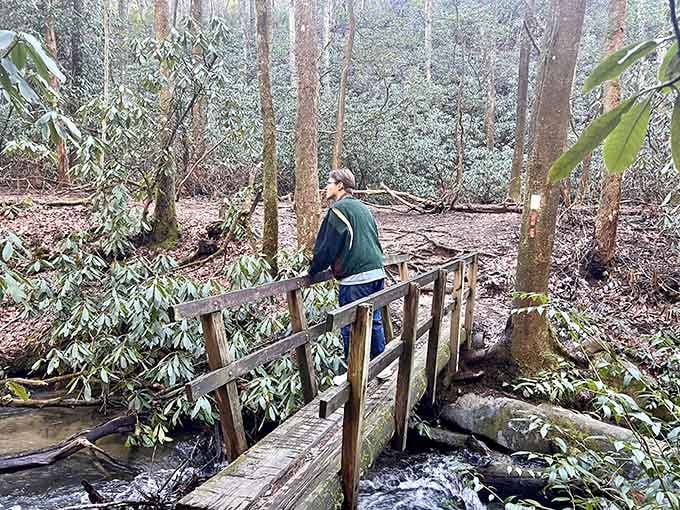 Standing before King Creek Falls makes you feel simultaneously tiny and privileged, like meeting a celebrity who's genuinely nice.