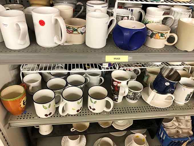 Coffee mugs in every color and design imaginable, because your morning brew deserves a vessel with personality and history.