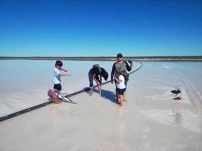 Families gather to experience the bizarre sensation of walking across what looks like a winter wonderland.