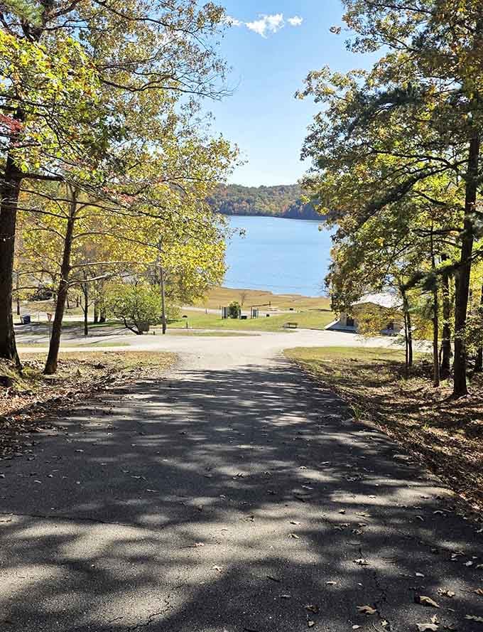 Tree-lined roads leading to the lake create anticipation better than any theme park entrance ever could manage.