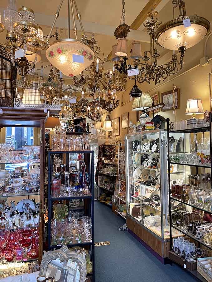 Vintage chandeliers dangle overhead like crystalline promises that your dining room could look this spectacular with proper lighting choices.