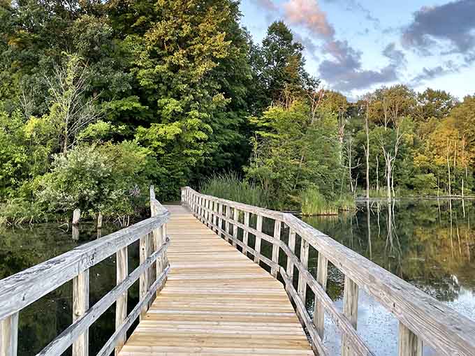 Rowden Park's wooden bridge over peaceful waters invites leisurely strolls that actually qualify as the good kind of exercise.