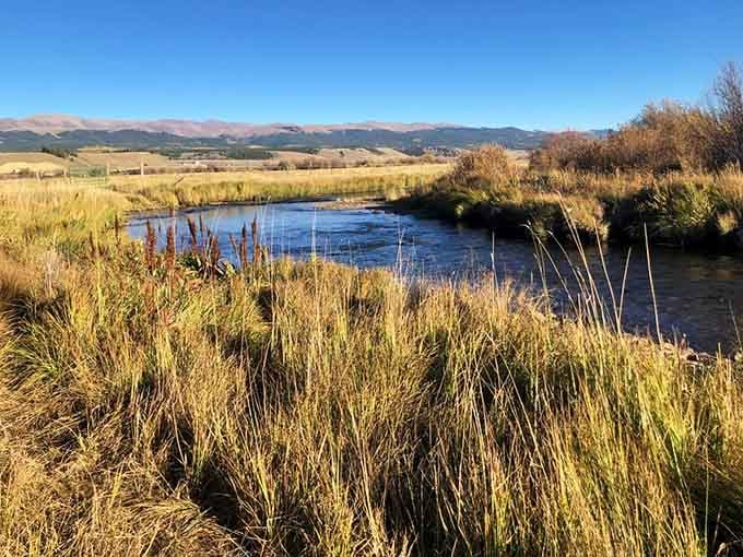 Golden grasses frame the creek with mountains beyond, proving nature doesn't need filters to look absolutely stunning.
