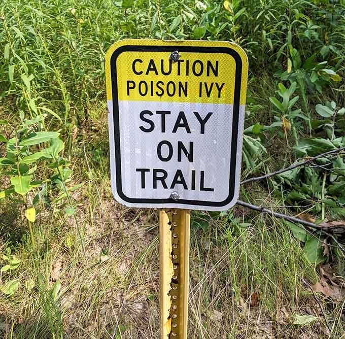 Poison ivy respects no historical boundaries, so staying on the trail protects both you and the ancient mounds.