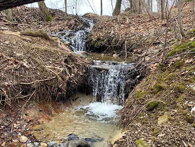 Miniature waterfalls cascade over rocks, creating nature's own white noise machine for the ultimate peaceful soundtrack.