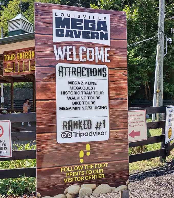 When your attraction is ranked number one on TripAdvisor, you display it proudly. Underground excellence officially recognized.