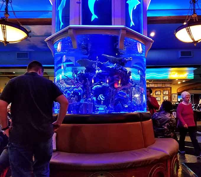 The centerpiece aquarium towers like an underwater skyscraper, providing dinner entertainment that never gets old or needs commercial breaks.