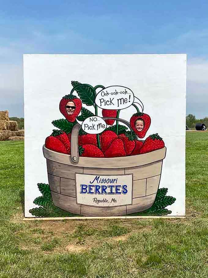 This photo op cutout turns everyone into strawberries, because why should the fruit have all the fun?