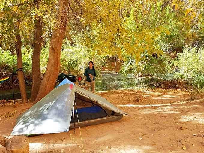 Campground living under cottonwood trees, where your neighbors are hikers who also earned this view.