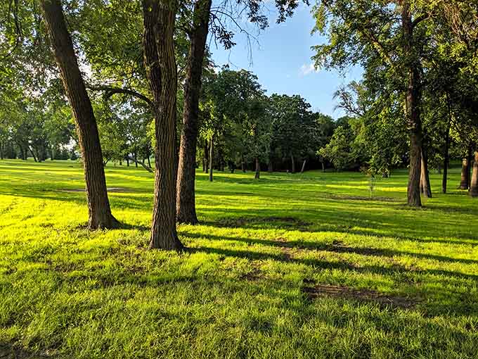 Woodlawn Park's mature trees cast golden evening light across open lawns, creating free entertainment that never gets old.