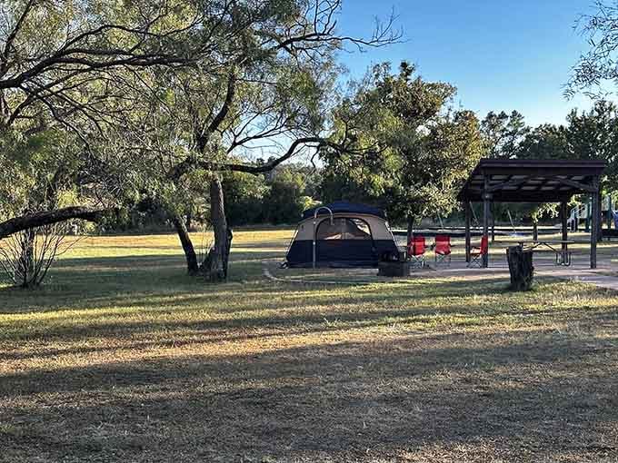 Camping under these trees means swapping your ceiling fan for starlight—a trade-off that somehow feels like winning the lottery.
