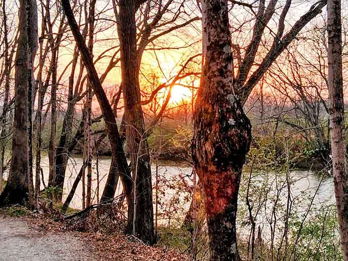 Sunset through the trees along the White River creates magic that no filter could improve.
