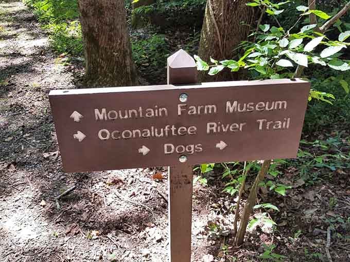 Trail signs point toward history and adventure, though thankfully the dogs mentioned are just directional, not dinner.