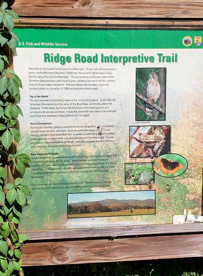 Interpretive signs share fascinating details about the Ridge Road Trail and the unique landscape surrounding you here.