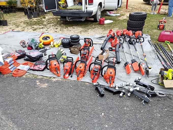 Chainsaws and power tools lined up like a hardware store exploded in the best possible way for DIY enthusiasts.