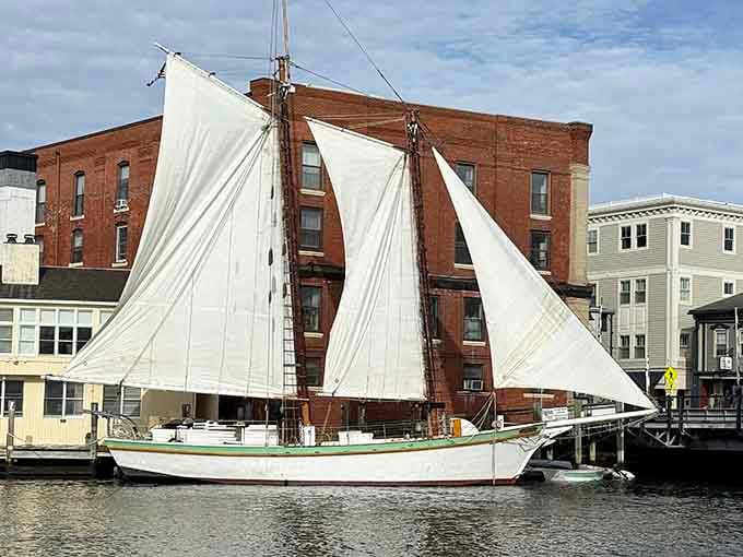 Mystic Argia Mystic Cruises: White sails against brick buildings create postcard perfection that makes your camera roll very happy indeed.