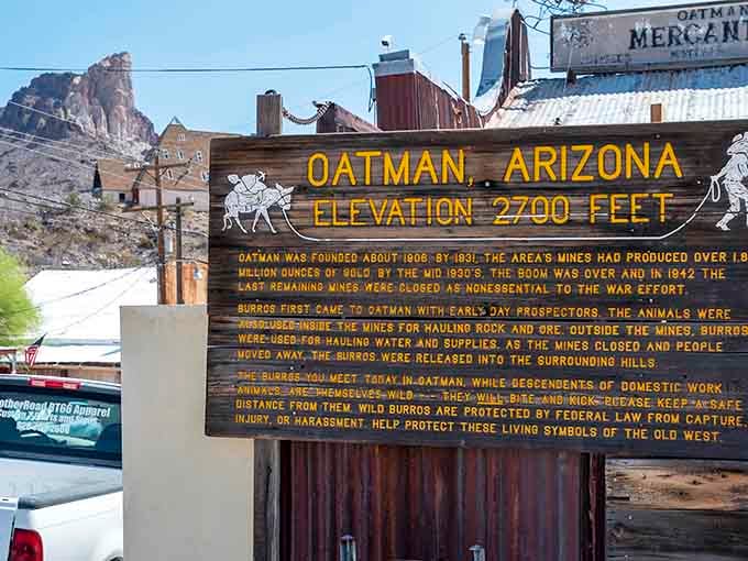 The information board tells Oatman's story at 2,700 feet elevation, where the air is thin but the history runs deep and rich.