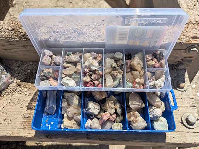 A tackle box filled with sorted finds shows the organized approach of a serious rockhound on a mission.