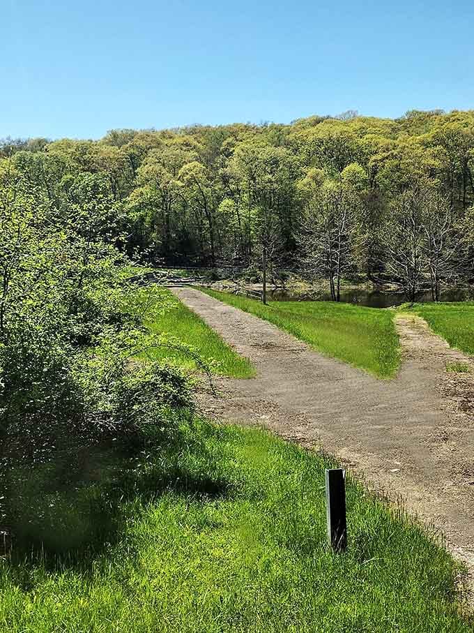 Spring transforms the valley into an emerald paradise, proving every season offers its own brand of magic here.