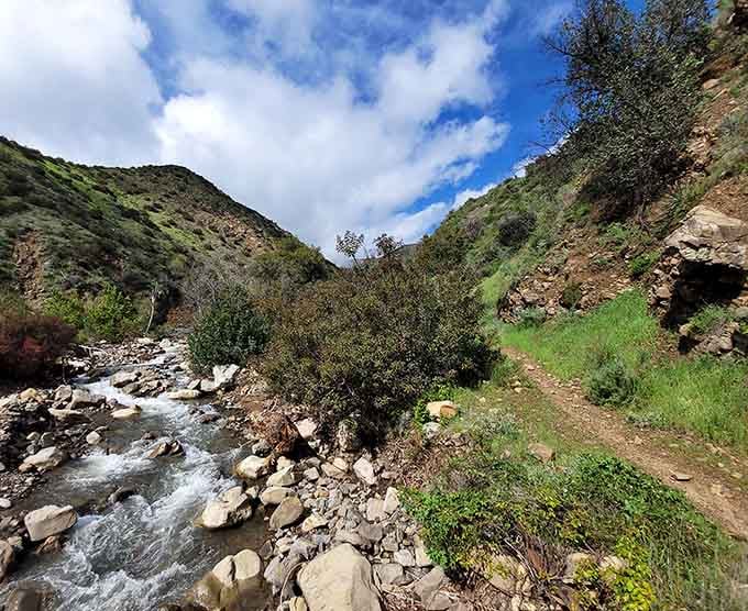 Horn Canyon Trailhead beckons adventurers into green valleys where the real world feels wonderfully, blissfully far away.