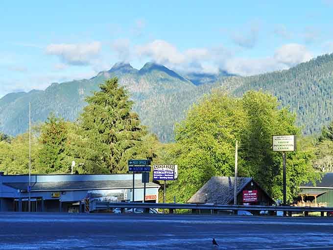 Amanda park represents the quiet side of the Olympic Peninsula, where nature still runs the show completely.