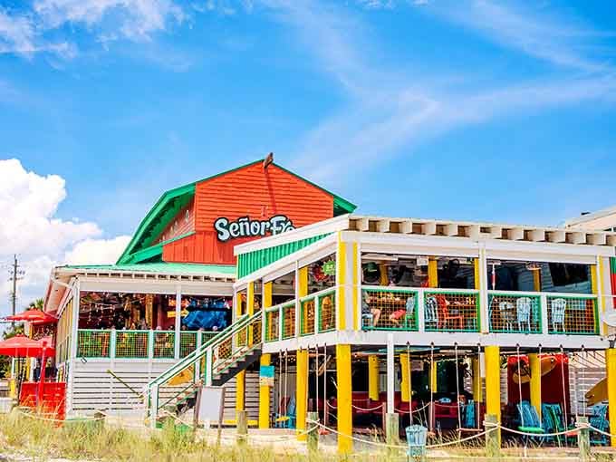 Señor Frog's colorful exterior matches the margaritas inside, both equally impossible to ignore on a hot day.