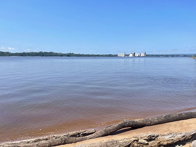 Driftwood frames waters so calm they could double as a mirror for the sky above.