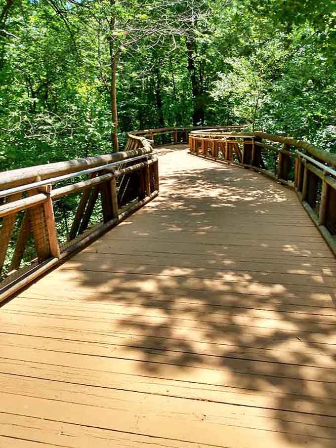 This peaceful walkway winds through trees like a scene from a movie where nothing bad ever happens.