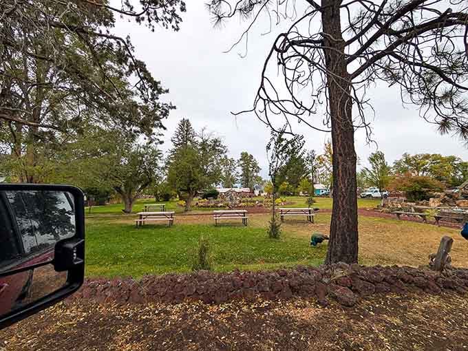 Picnic tables offer front-row seats to the rock garden spectacle, perfect for lunch with a side of geological wonder.