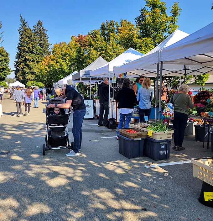 White tents shelter local vendors offering fresh produce and handmade goods while neighbors reconnect over seasonal bounty each week.