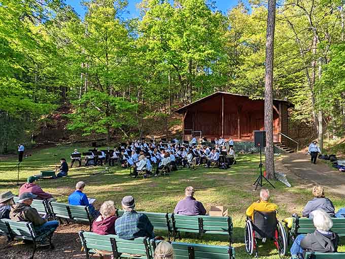 Live music under the trees transforms ordinary summer evenings into concerts that rival any fancy amphitheater experience.