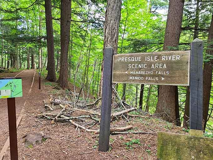 Trail signs pointing to multiple waterfalls are basically nature's way of saying "you're going to need more memory on your phone."
