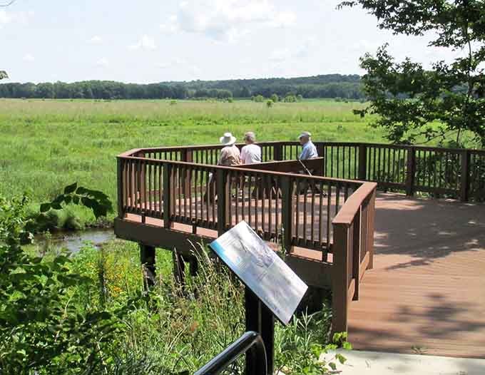 Elevated overlooks reveal sweeping prairie vistas that remind you why people settled here in the first place.
