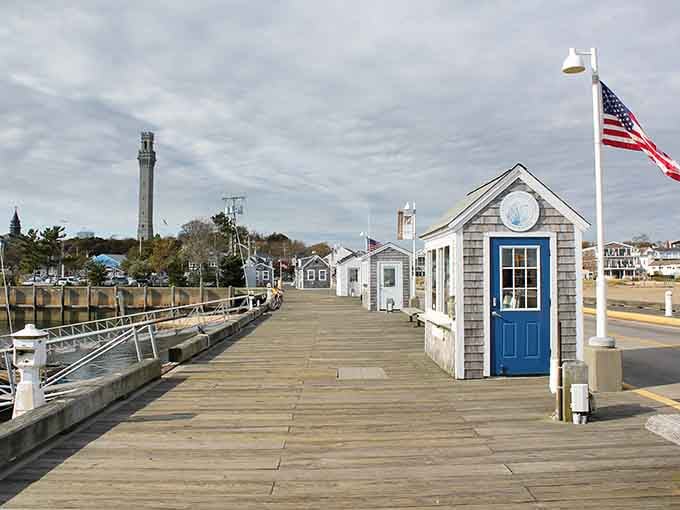 MacMillan Pier, where the fishing fleet and whale watchers share space in perfect maritime harmony.