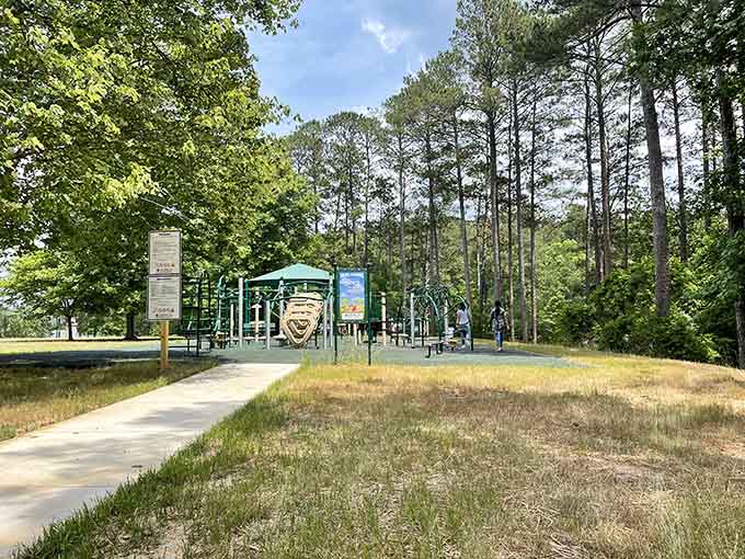Playgrounds give kids a place to burn energy while adults pretend they're not completely exhausted already.