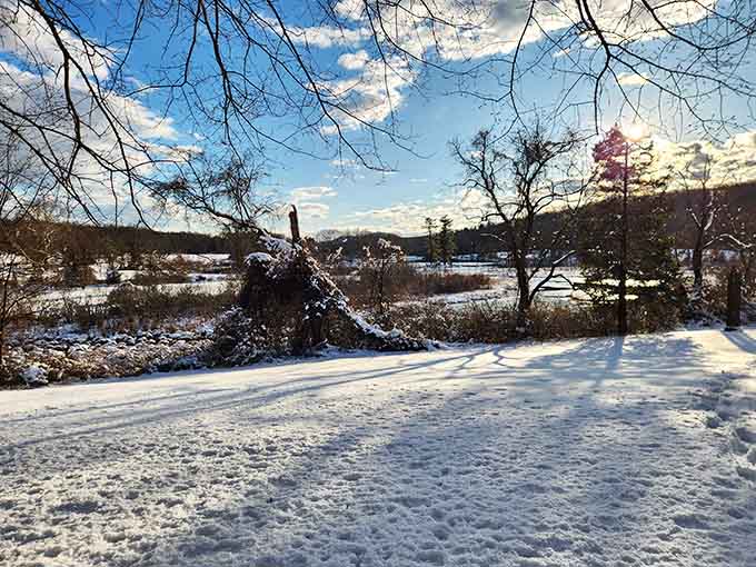 Winter transforms the landscape into something Currier and Ives would've painted between hot cocoa breaks.