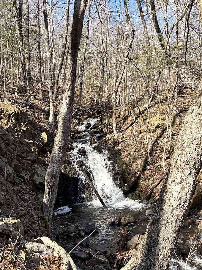 Even the smaller cascades along the trail put on quite a show, like opening acts that are almost as good as the headliner.