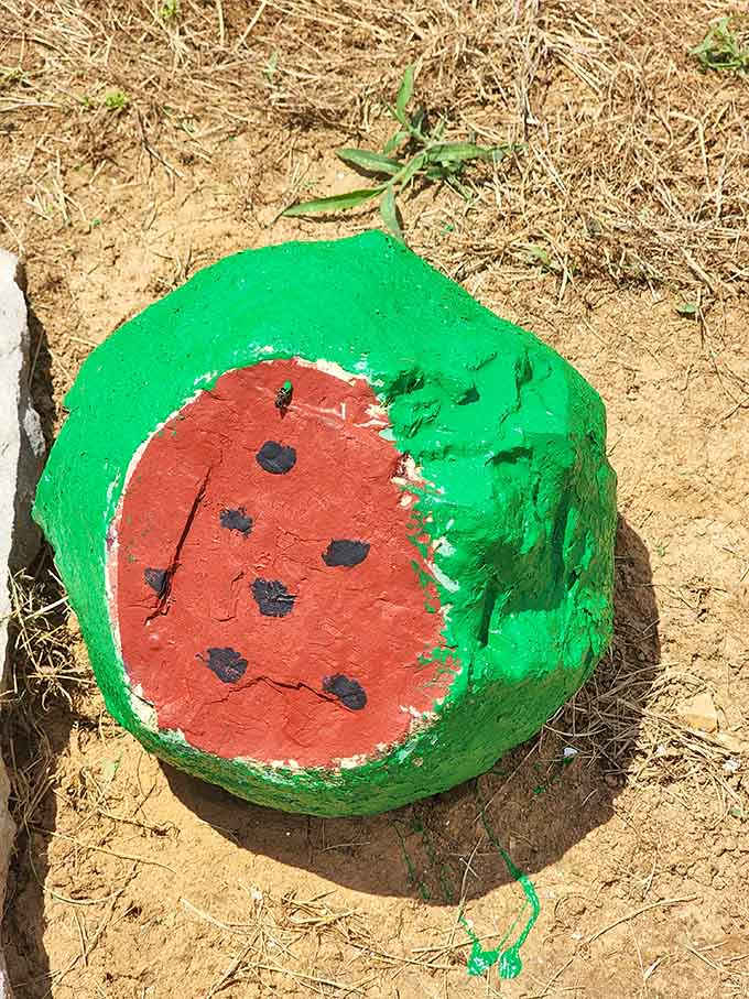 A watermelon that'll never go bad? That's the kind of produce section we can all appreciate, seeds and all.