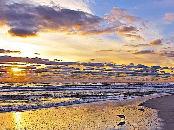 Golden hour paints the Gulf in colors so vivid you'll swear someone adjusted the saturation, but nature's just showing off.
