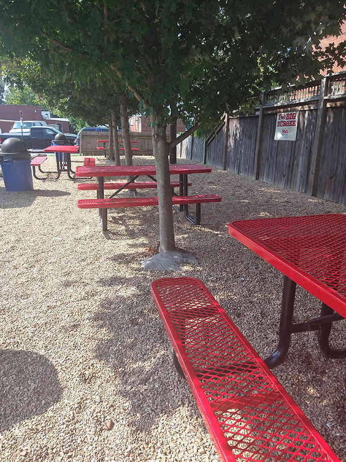 Red picnic tables under shade trees create the perfect setting for outdoor dining without any unnecessary fanciness.