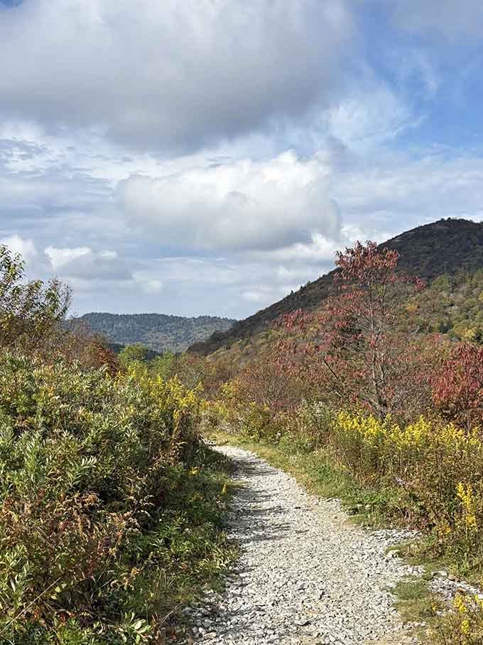 Clouds build overhead as the trail cuts through summer meadows, reminding you why mountain weather keeps things interesting.