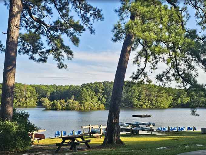 Picnic tables overlook the lake where paddleboats wait patiently, ready to turn your afternoon into an actual adventure.