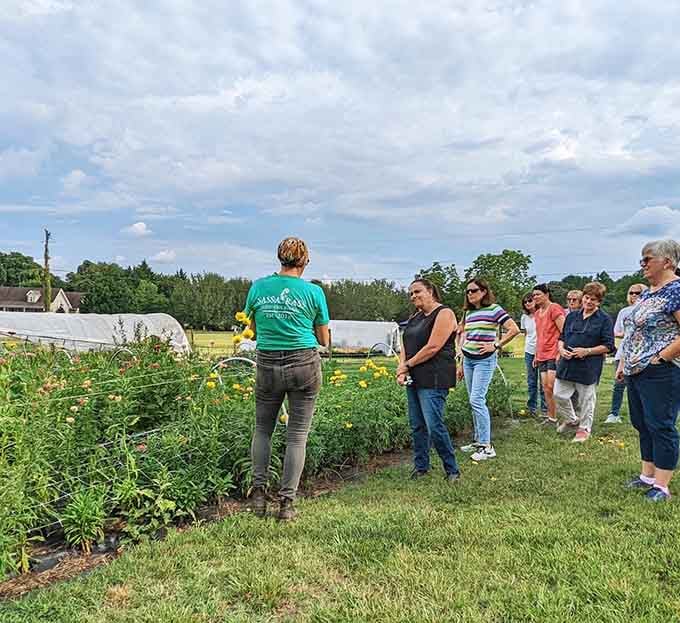 Farm tours bring together curious minds eager to learn the secrets behind those picture-perfect petals and stunning stems.