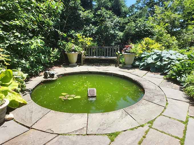 A circular stone pond sits quietly among the greenery, offering reflection in more ways than one for visitors.