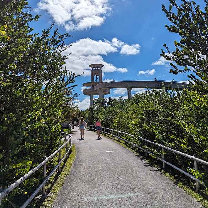 From this distance, the tower looks like a lighthouse guiding visitors through a sea of sawgrass instead of water.