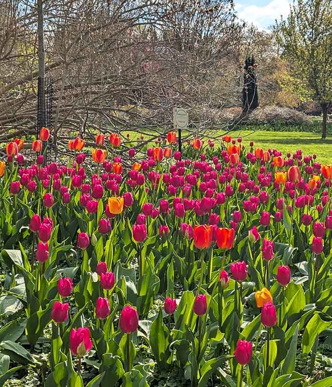 This riot of color makes you wonder if someone spilled a rainbow and just decided to leave it.