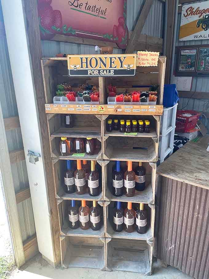 Local honey stacked in neat rows offers liquid gold from nearby hives, sweetening your pantry with pure Maryland sunshine.
