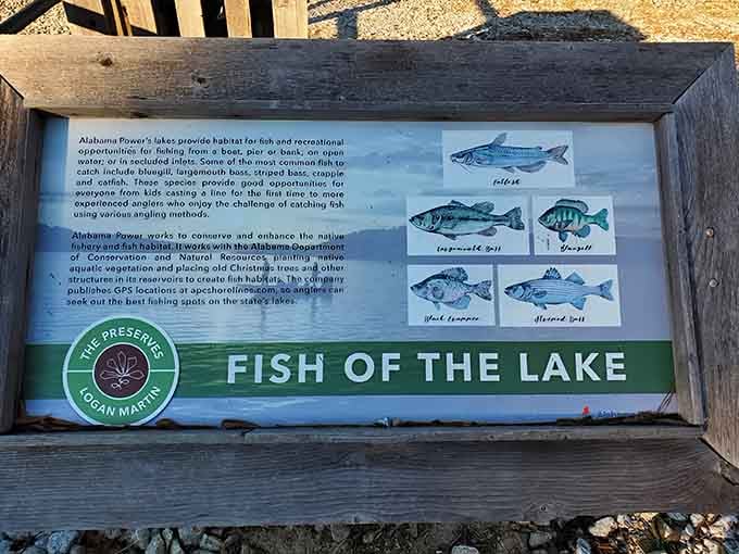 Local fishing wisdom displayed for all, because sharing knowledge makes everyone's catch better ultimately.