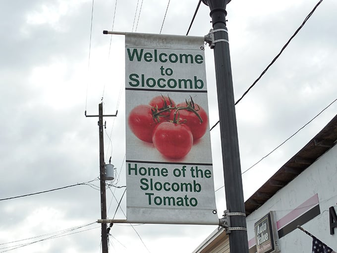 Street banners proudly announce the town's tomato legacy to anyone passing through this agricultural paradise.